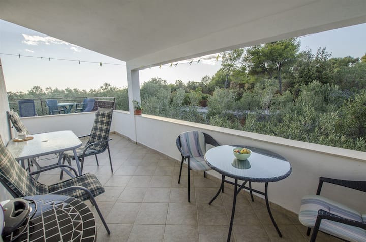 Appartement Oliva (10981-a1) - Maslinica