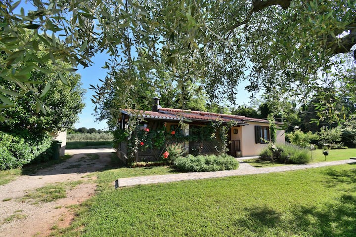 Maison, Avec Une Chambre à Coucher, à Umag - Umag