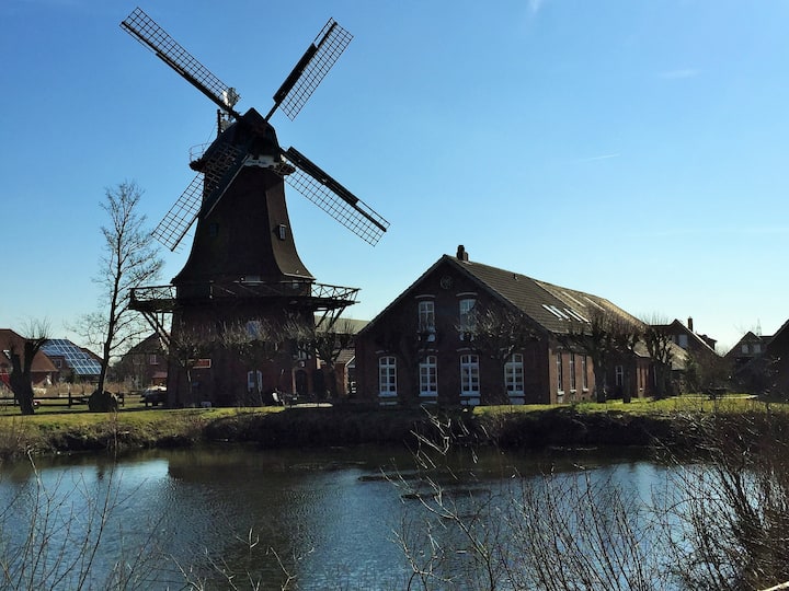 Fewo Baltrum (128394) - Dornum