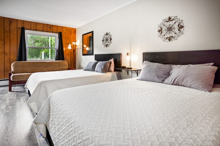 2 Queen Beds Futon 1st Floor - Wellsboro, PA