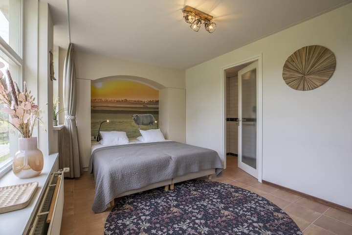 Terrace Room, Pet Free - Texel
