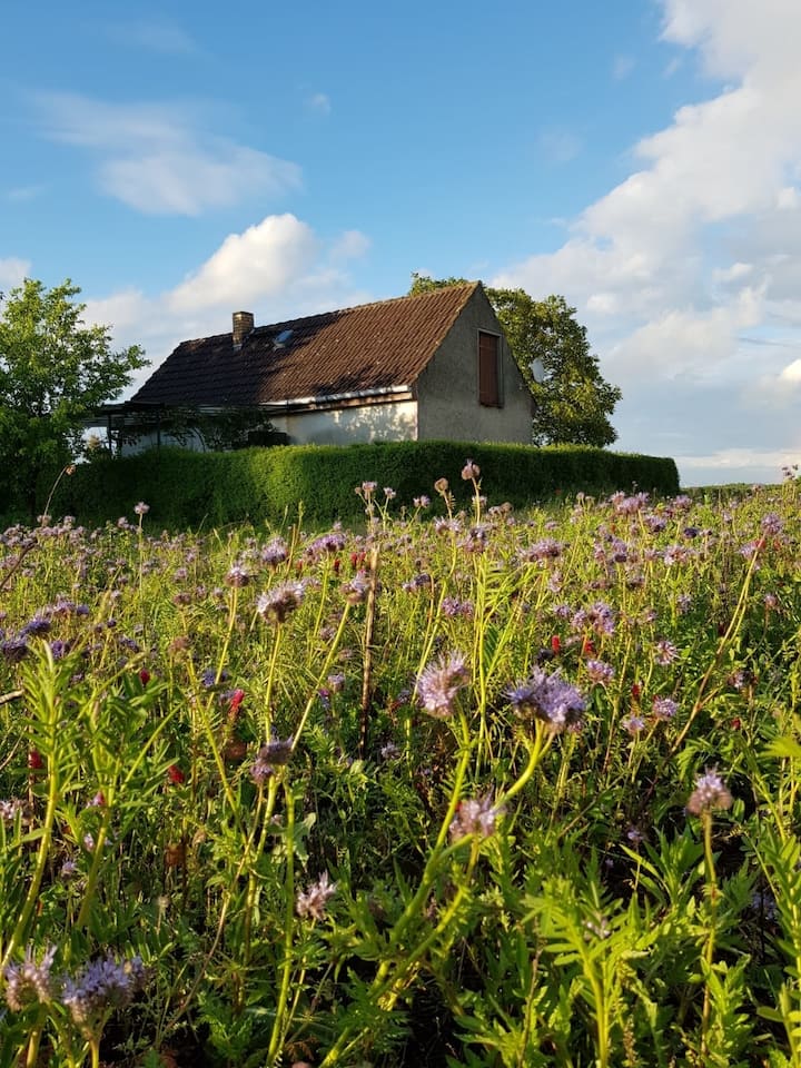 Ferienhaus Für 2 Gäste Mit 45m² In Gransee (128356) - Gransee