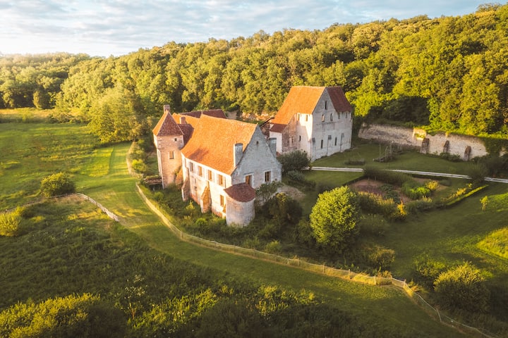 Privatisation Château-5chambres-5sdbs, Ses Salons - Loches