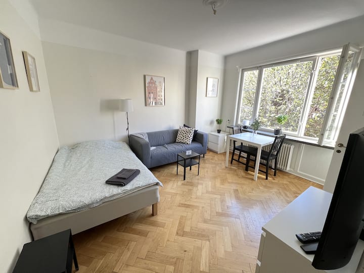 Charming Studio In Heart Of Sofo - Stockholm