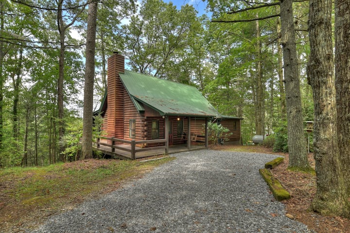 Oscars Outpost | Fire Pit | Pet Friendly - Mineral Bluff, GA