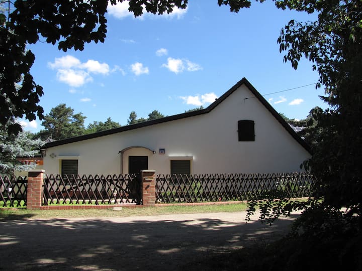 Spreewaldhaus Lübben (93036) - Lübben (Spreewald)