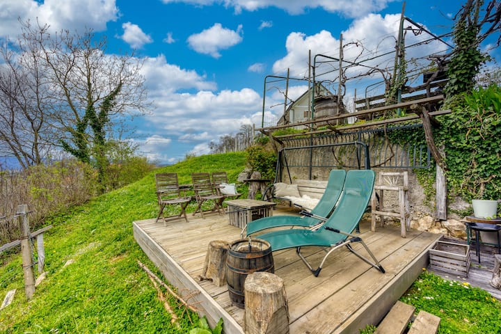 Vineyard Cottage Verček - Happy Rentals - Novo Mesto