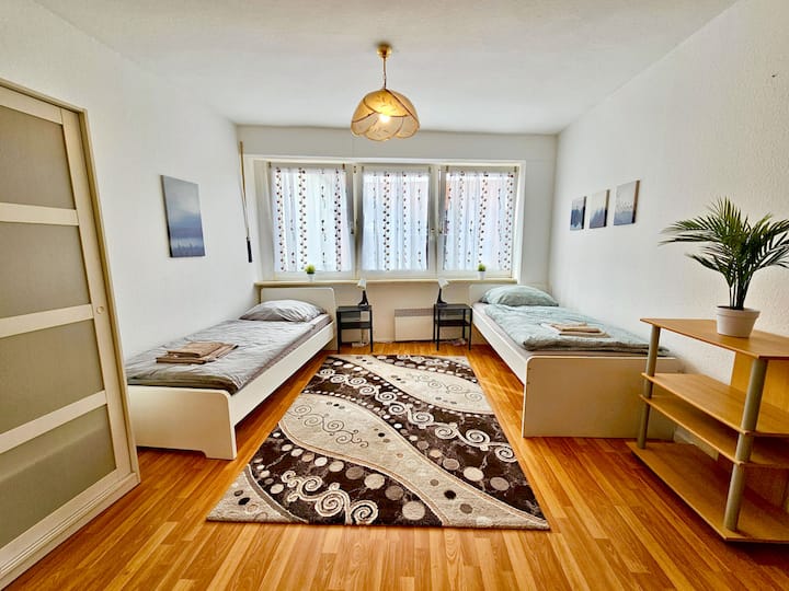 Az03 Apartment In Biebelnheim - Wörrstadt