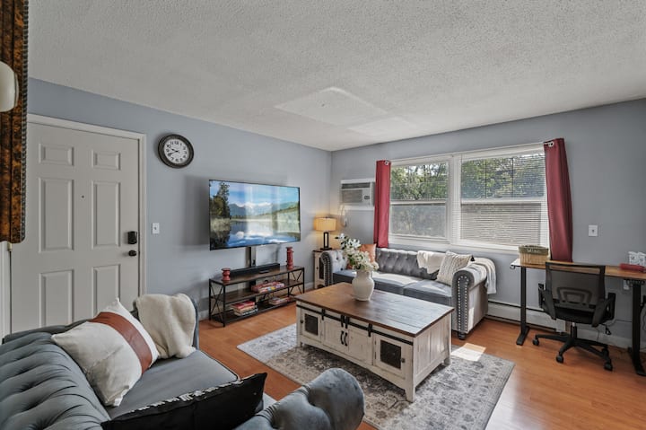 Tranquil 2br Apt Mpls - 8075 Apt 4 - Blaine, MN