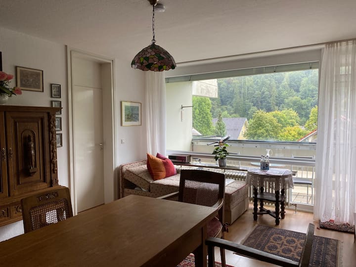 Ferienwohnung Am Münster Mit Alpenweitblick 64m² - Bad Reichenhall