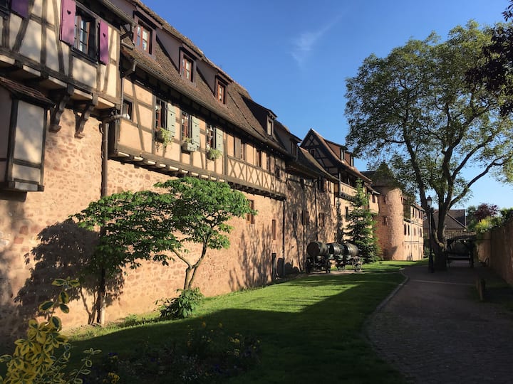 Ferienwohnung Arp In Reichenweier - Riquewihr