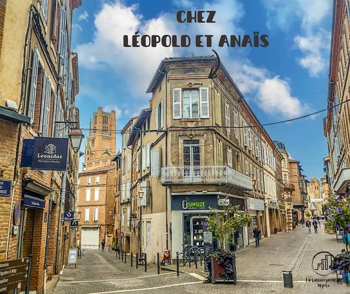 Chez Léopold Et Anaïs -T2 En Plein Cœur D'albi - Albi