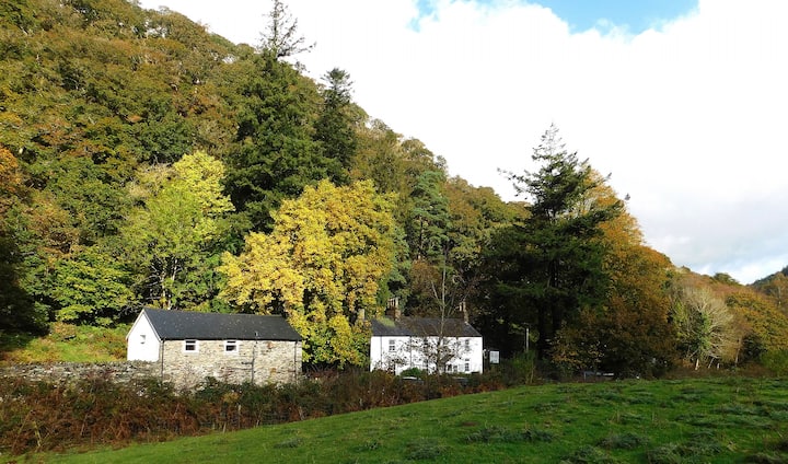 Tryfan Cottage - 2.8 Miles From Summit Mt Snowdon - Beddgelert