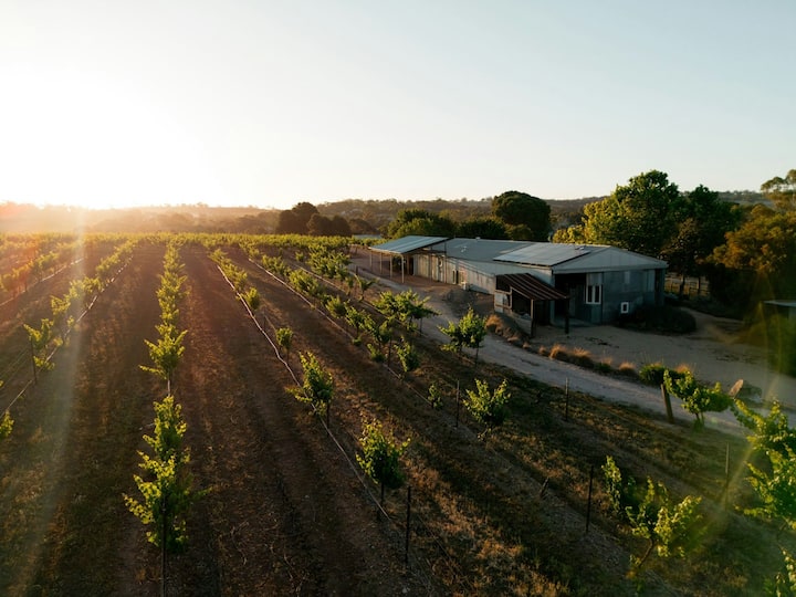Bed In A Shed Suite - Unique Vineyard Stay - Saddleworth