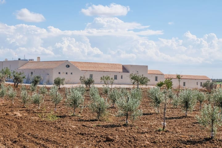 Double Room With Terrace - Masseria Vaccaro - Mesagne