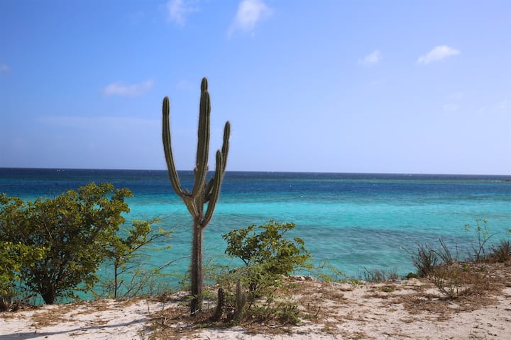 Kukwisa Retreat - 2br Apartment - Aruba