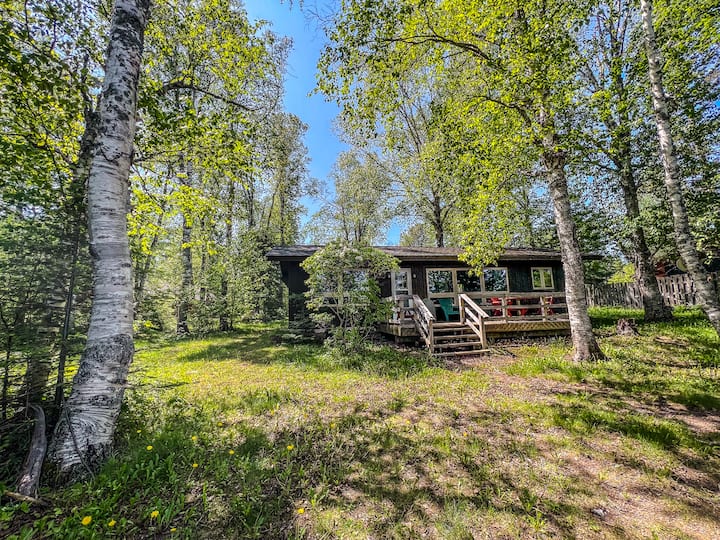 Birch Hollow On Devil Track Lake - Grand Marais, MN