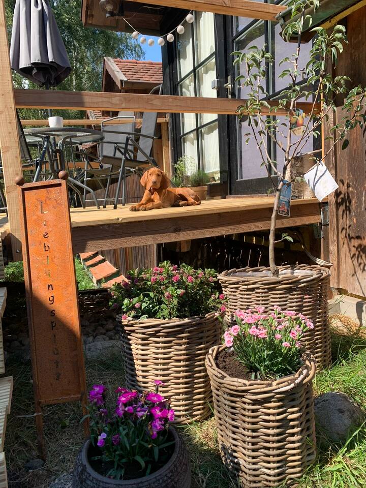 Ferienwohnung Duffy (25 M²) (Heimerlmühle) - Neunburg vorm Wald