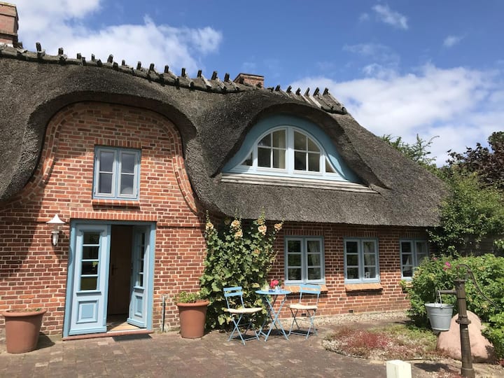 Reetkate In Der Natur - Hasselberg