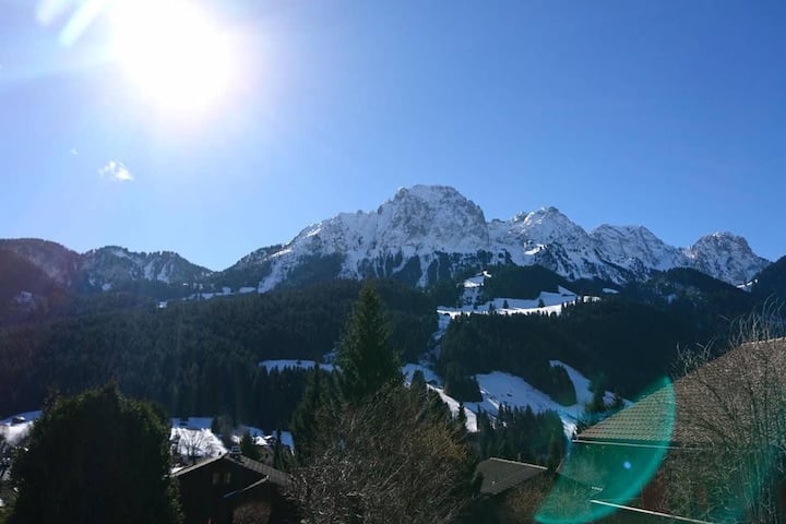 Cute Chalet With Breathtaking Views - Charmey