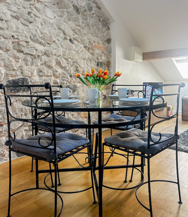 Yin Rue Royale Duplex - Annecy