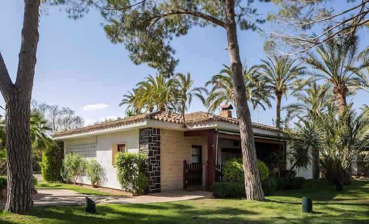 Ferienvilla El Oasis - Bétera