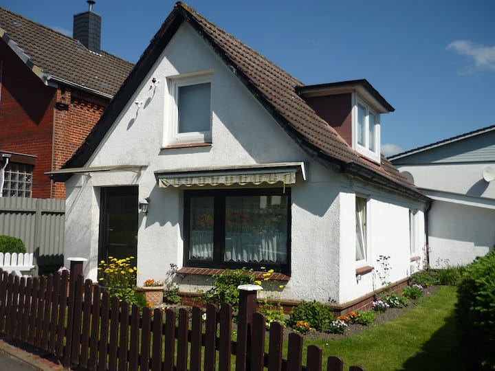 Lachmöwe - Wesselburen