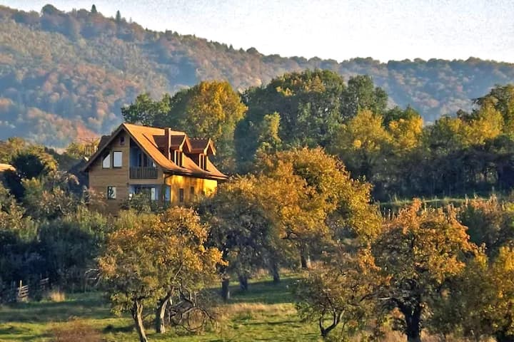 Casa Zollo Ferienhaus Mit Fürstlichen Zimmern - Miercurea Sibiului