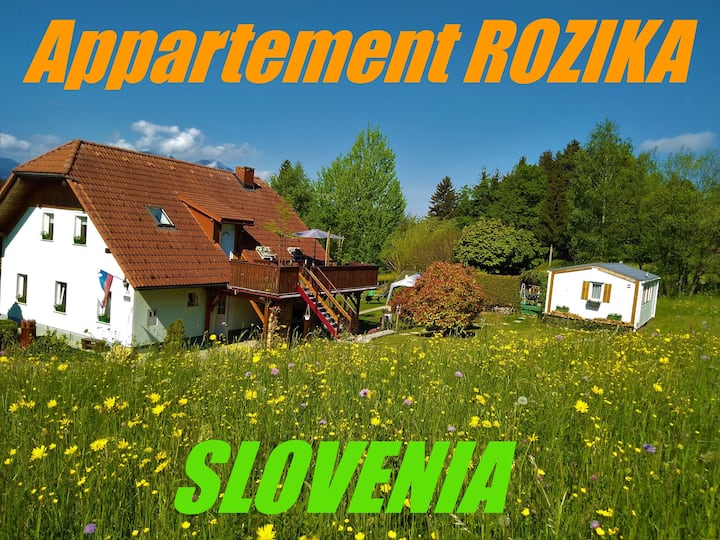 Appartement Rozika - Brda
