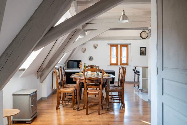 Le Nid Alsacien - Centre Ville - Proche Parking - Hindisheim