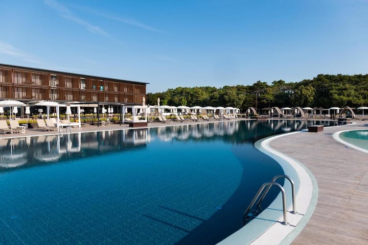 Nature And Relaxation In Bibione Beahost Rentals - Bibione
