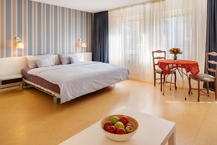 Stiegeler Fewo Nr 1 Adelhauser - Freiburg