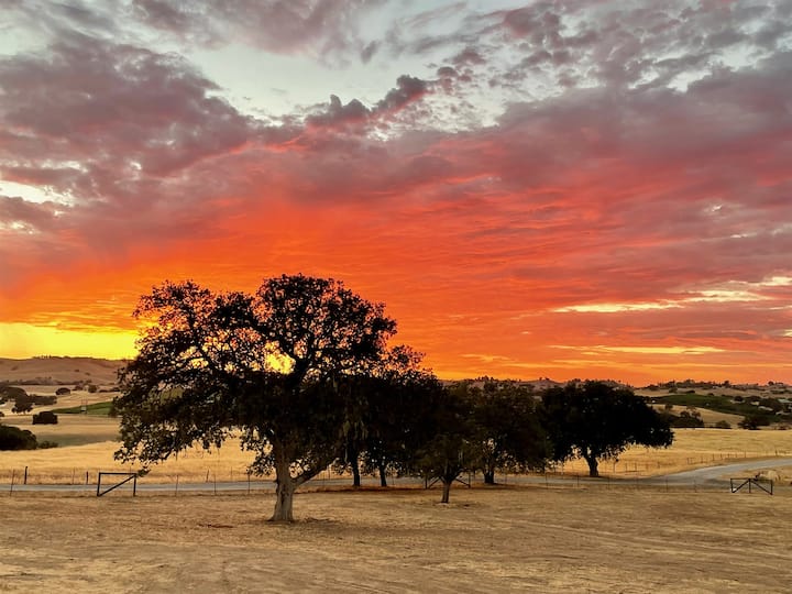 Whispering Oaks Manor | Spa, Views, Pet-friendly - San Miguel, CA