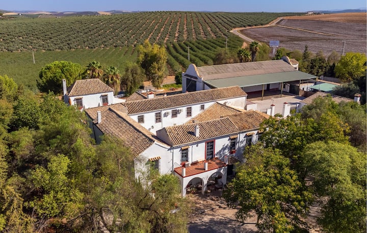 Cozy Home In Santaella With Kitchen - Puente Genil