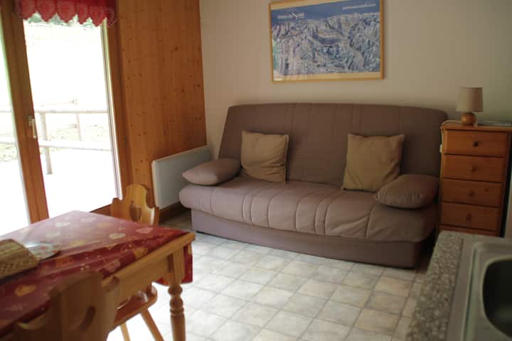 Violettes Vl2 Telecabine & Nature 4 Pers. - Châtel