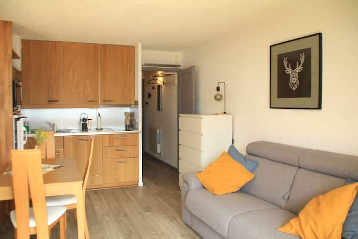 Tovassiere Ts113 Nature & View 4 Pers. - Châtel