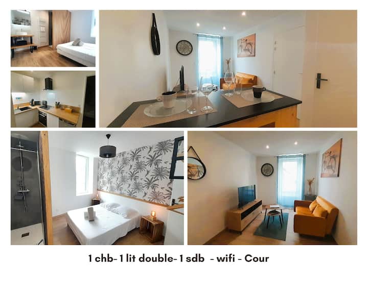 Bryas 1 - Rdc-wifi-1chb-cour - Châteauroux