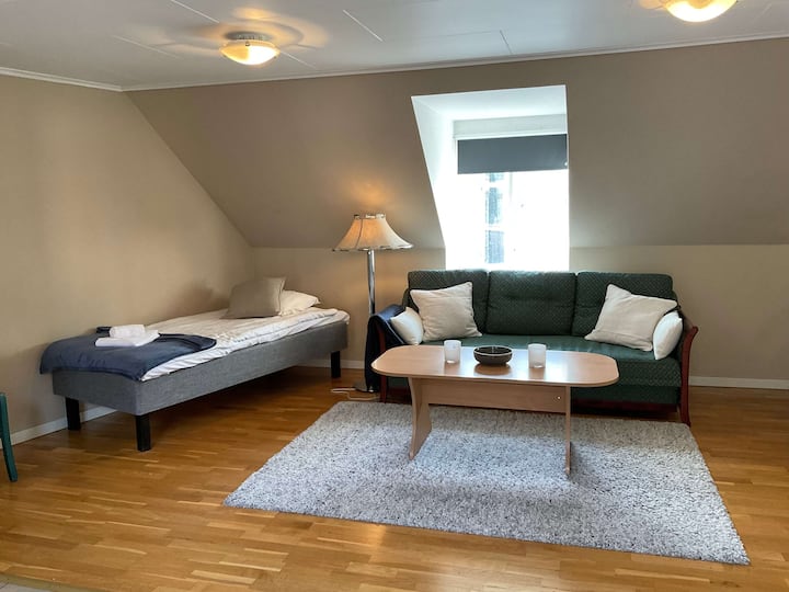 Spacious And Central Apartment - Visby