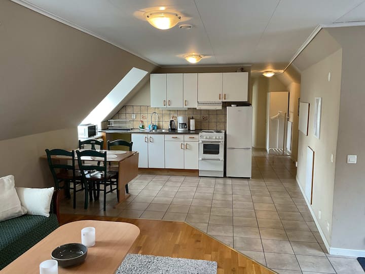 Spacious And Cenral Apartment - Visby
