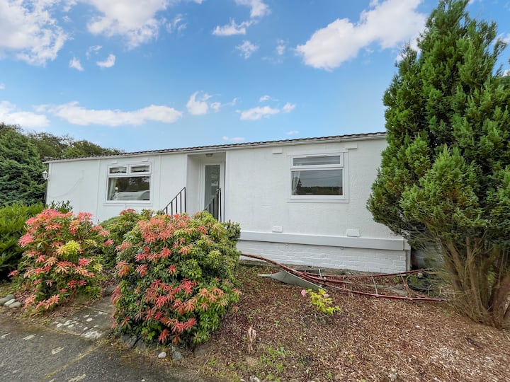 Lisset - Newton Stewart