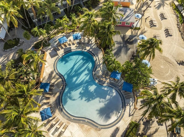 2 Queen Beds Studio W/pool & Free Parking! - Islamorada, FL