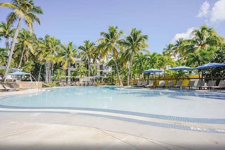 Dive Into Your Dream Vacation! Pool, Pet-friendly! - Islamorada, FL