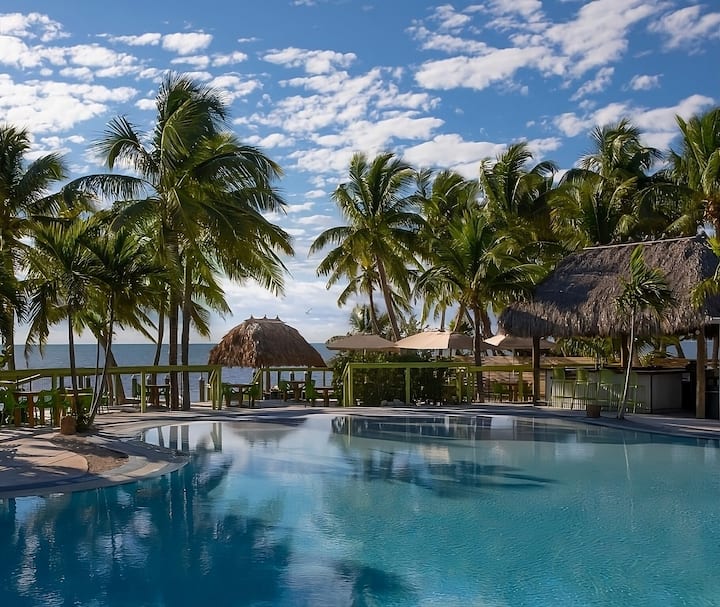 Stunning Ocean View! Beachfront Property, W/ Pool! - Islamorada, FL