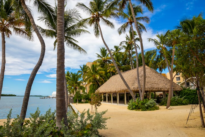 Conveniently To Excellent Transportation! Pool - Islamorada, FL