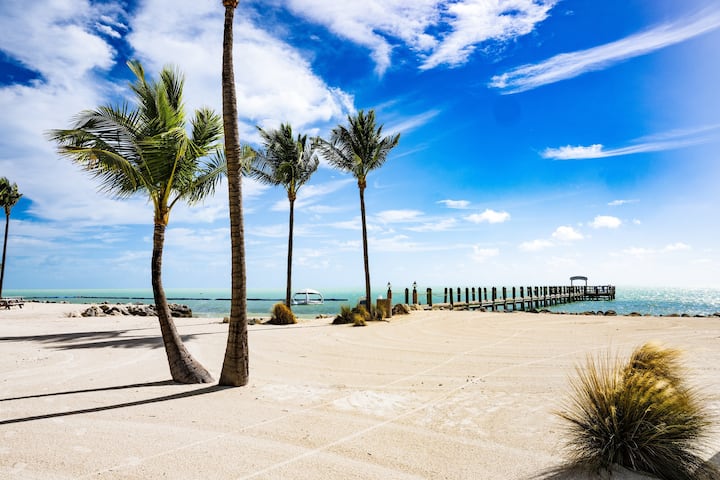 2 Posh Units! Beachfront, Free Parking - Islamorada, FL