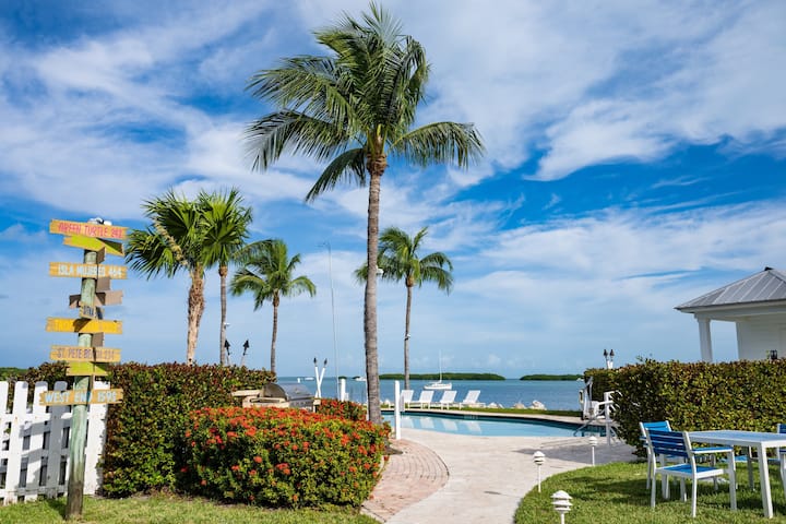 Ocean View Suite W/ Private Patio! W/ Onsite Pool! - Islamorada, FL