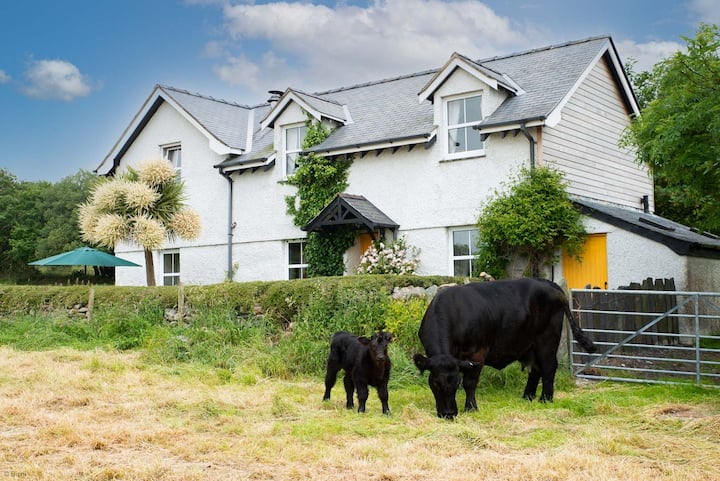 Perthi-uchaf - Llanberis