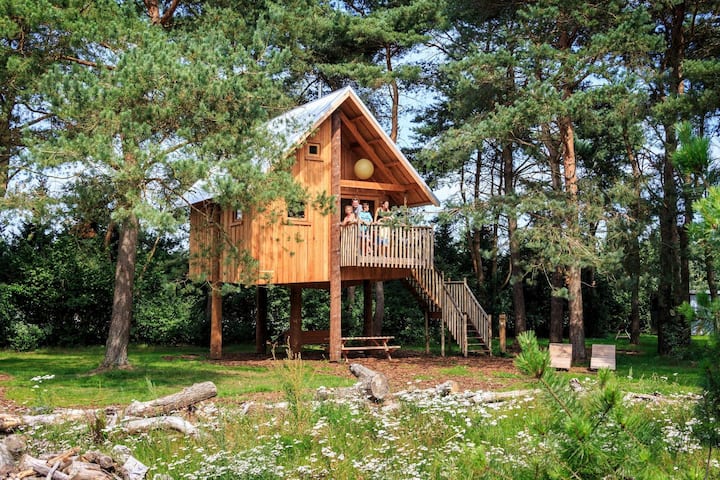 Zwerfhut Op Hoogte 5 | Europarcs De Wije Werelt - Arnhem