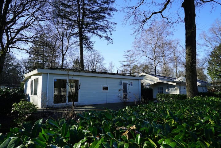 Unique 4 | Europarcs Hooge Veluwe - Arnhem