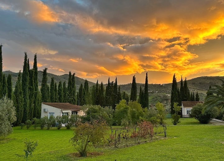 Casita Higo (267435) - Olvera
